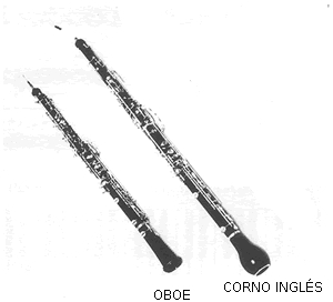 INSTRUMENTOS DE LA ORQUESTA - Que instrumentos hay en la orquesta